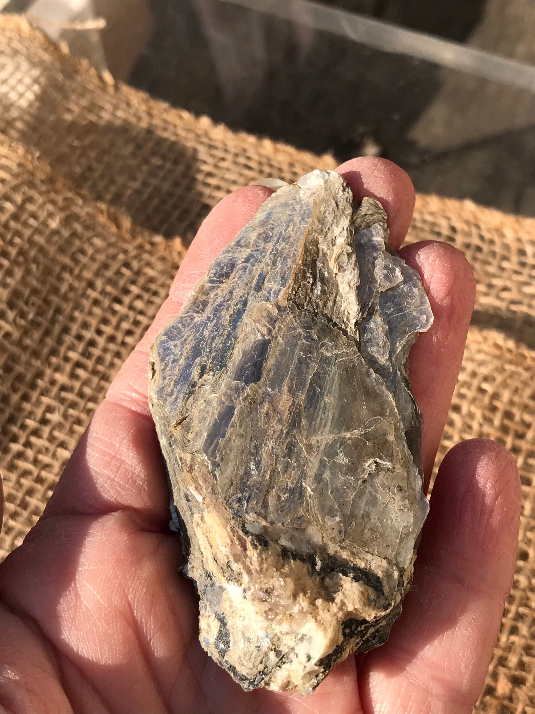 Biotite Mica Specimen in Display Case Rock Mineral Geology Chakra - Etsy