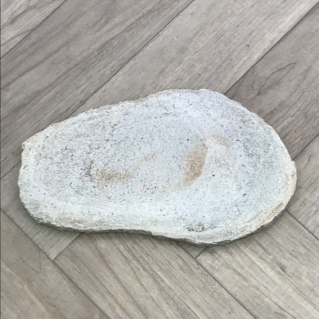 Authentic Dinosaur Bone Polished Slab Fossil - Etsy