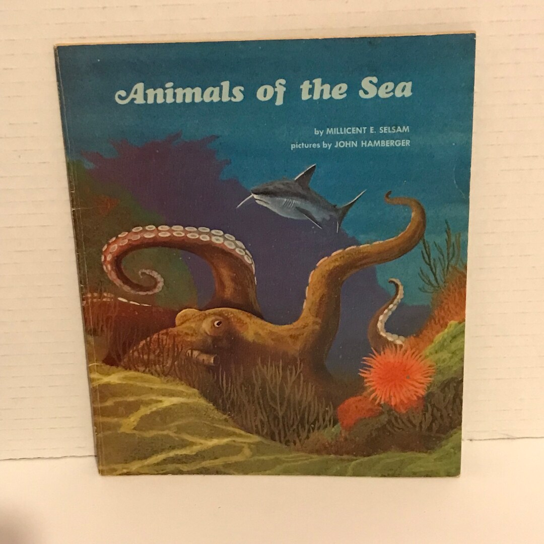 Vintage 1975 Animals of the Sea Paperback Children's Book by Millicent ...