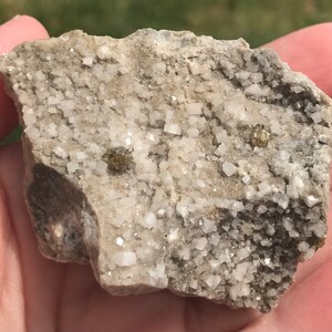 Sphalerite With Dolomite Crystal Mineral Specimen From Lockport New ...