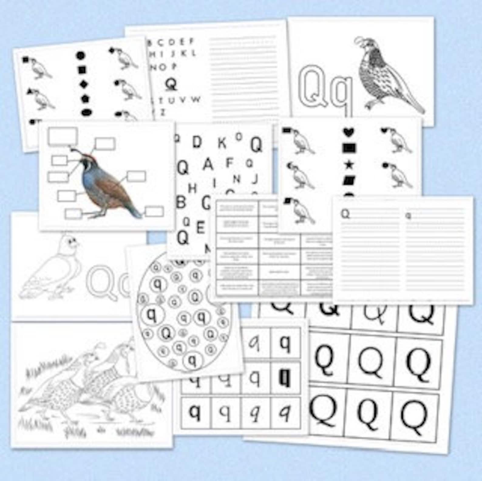 Q is for Quail Activity Booklet - Etsy