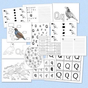 Q is for Quail Activity Booklet - Etsy