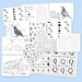 Q is for Quail Activity Booklet - Etsy