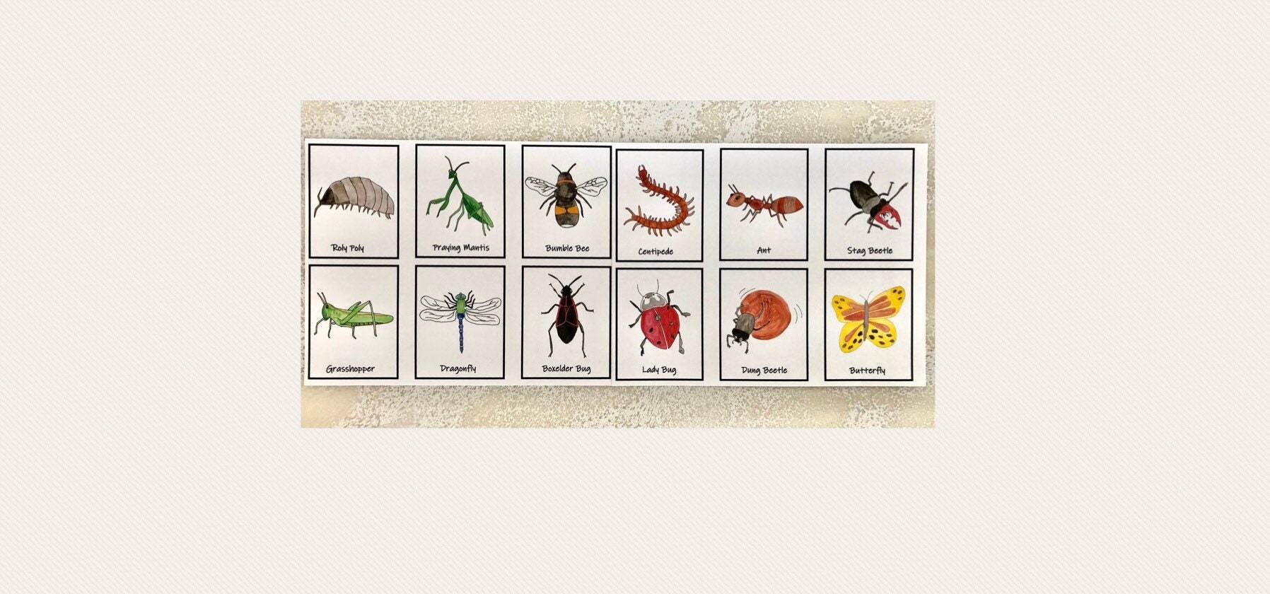 Insect Memory Game - Etsy