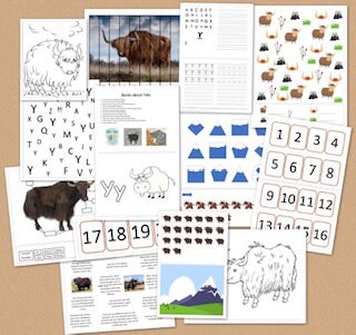 Y is for Yak Activity Booklet - Etsy