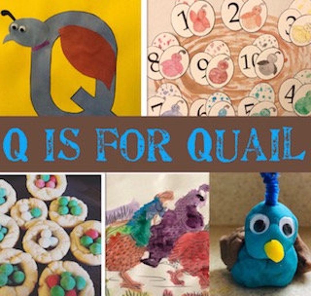 Q is for Quail Activity Booklet - Etsy