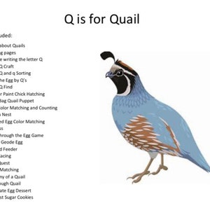 Q is for Quail Activity Booklet - Etsy