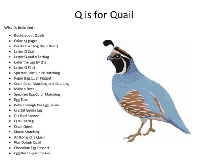 Q is for Quail Activity Booklet - Etsy