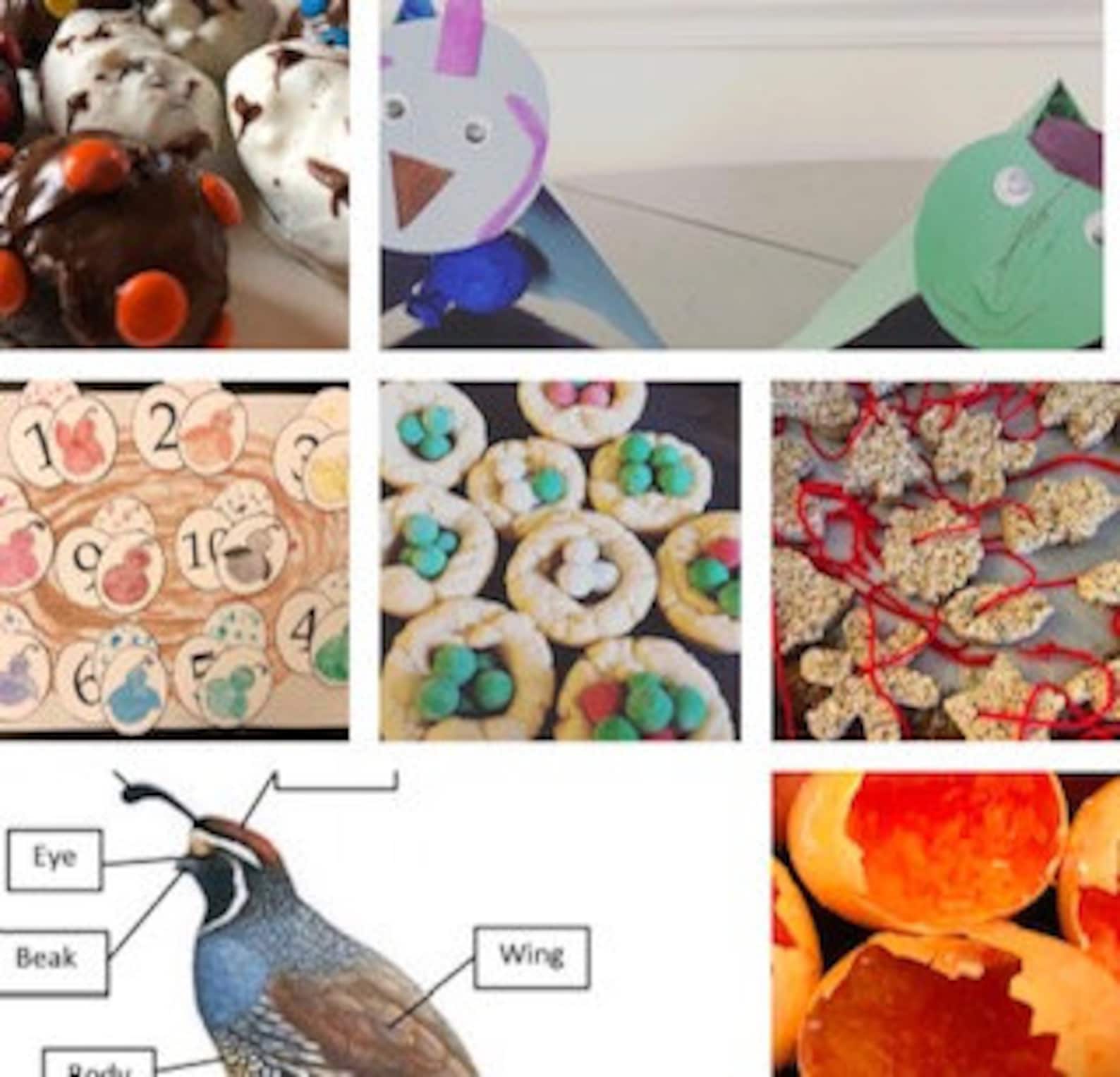 Q is for Quail Activity Booklet - Etsy