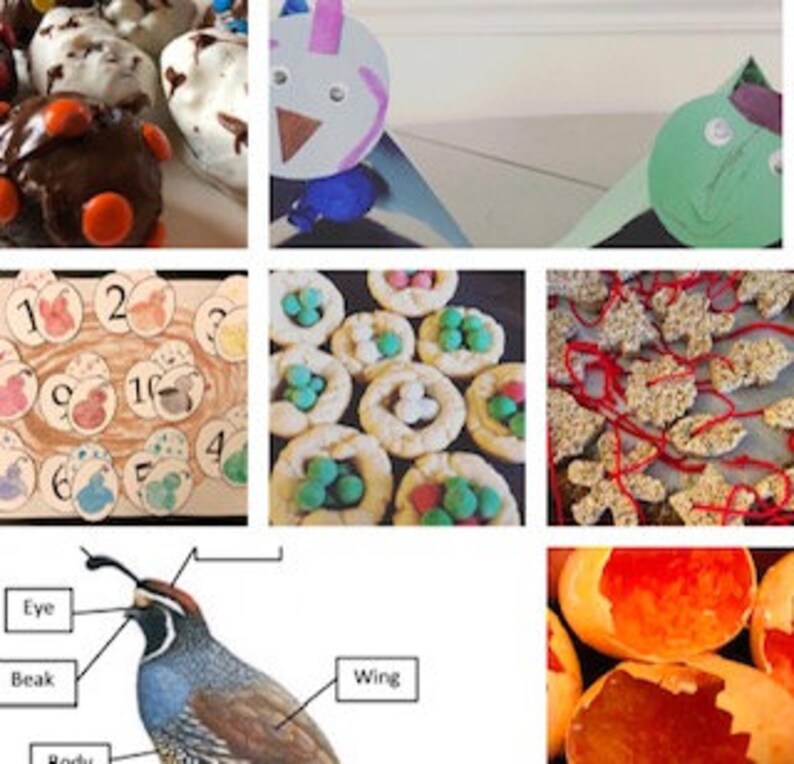 Q is for Quail Activity Booklet - Etsy