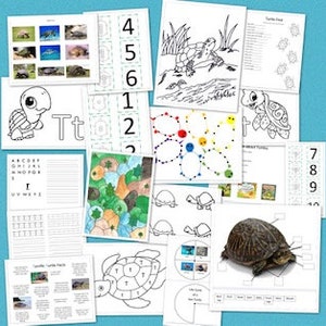 T is for Turtle Activity Booklet - Etsy