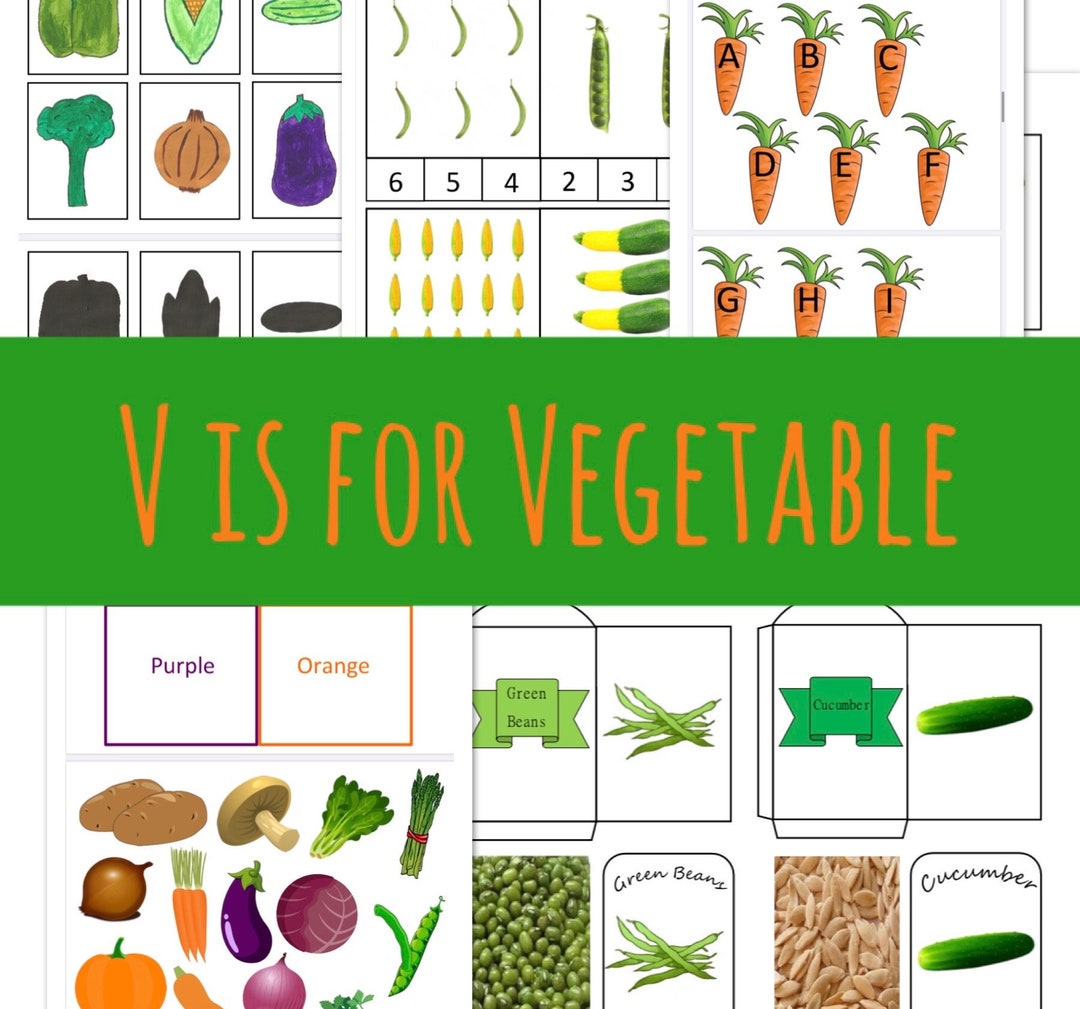V is for Vegetable Activity Booklet - Etsy