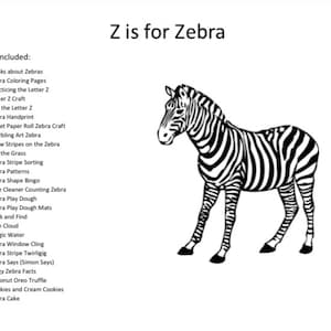 Z If for Zebra Activity Booklet - Etsy