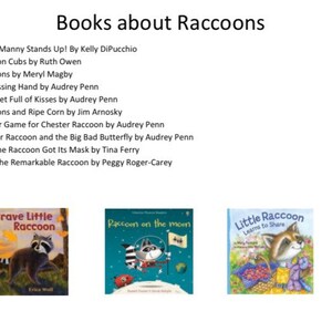 R is for Raccoon Activity Booklet - Etsy