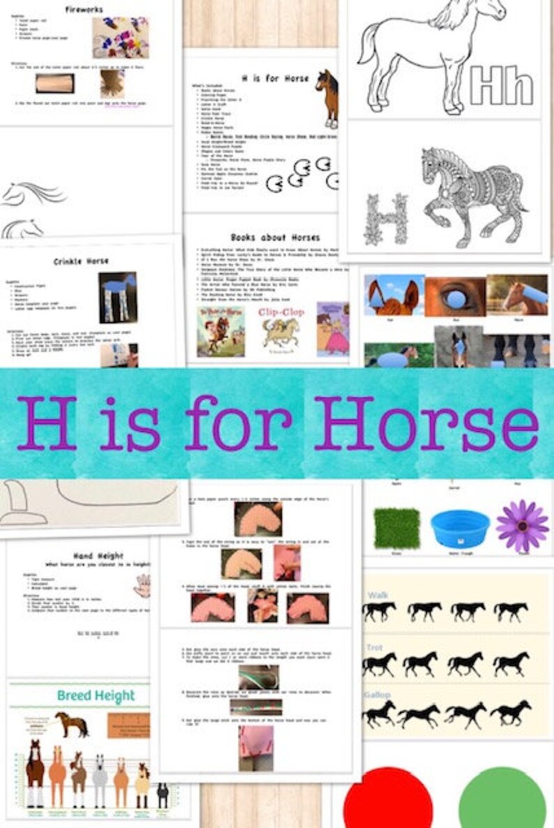 H is for Horse Activity Booklet - Etsy