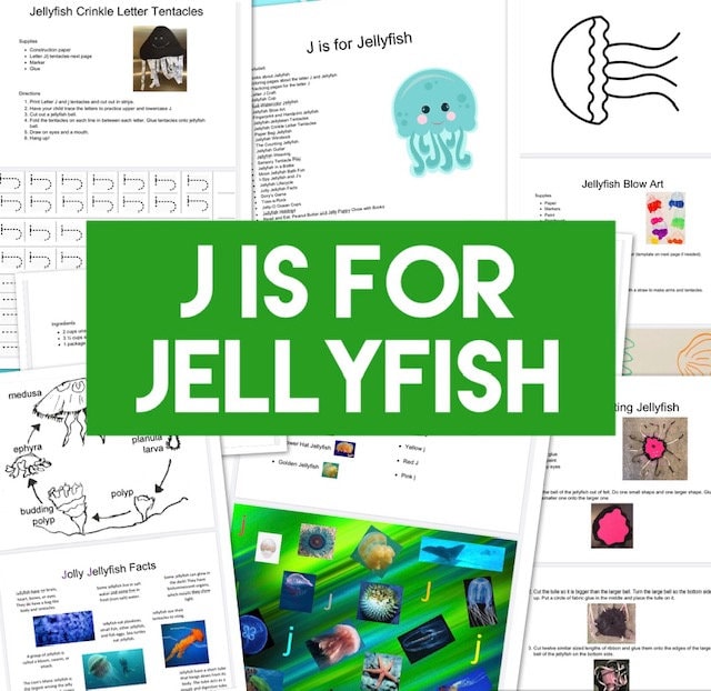 J is for Jellyfish Activity Booklet - Etsy