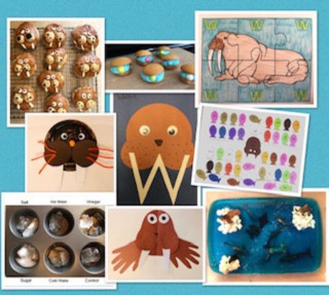 W is for Walrus Activity Booklet - Etsy