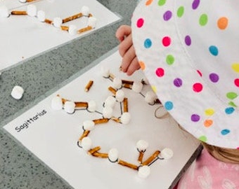 Zodiac Constellation Projection Cards commercial Use - Etsy