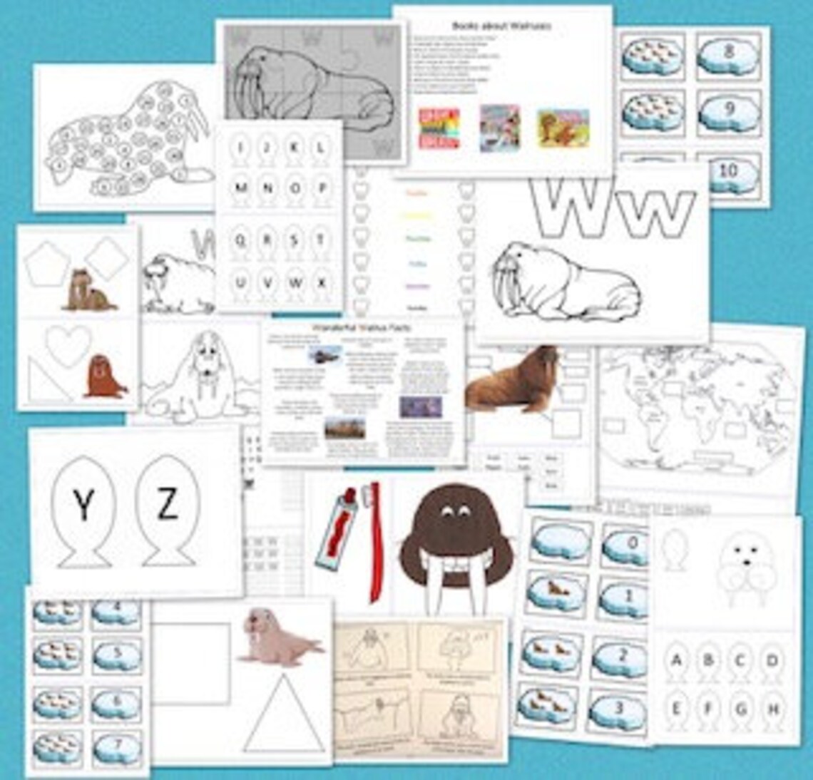 W is for Walrus Activity Booklet - Etsy