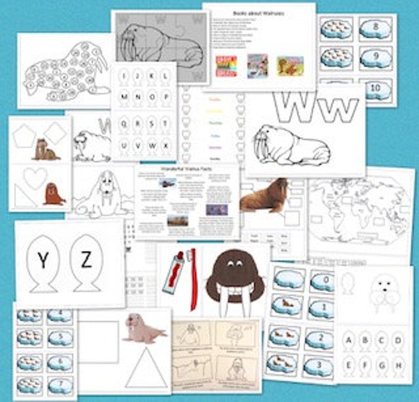 W is for Walrus Activity Booklet - Etsy