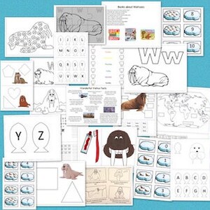 W is for Walrus Activity Booklet - Etsy