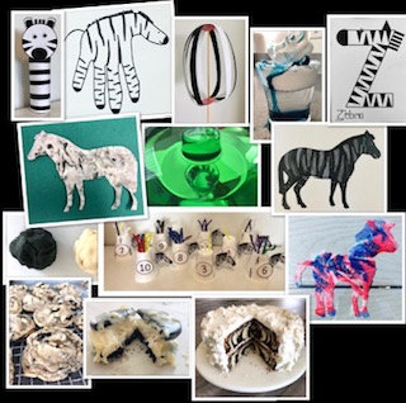 Z If for Zebra Activity Booklet - Etsy