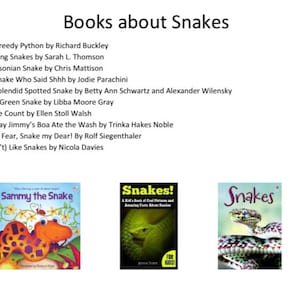 S is for Snake Activity Booklet - Etsy