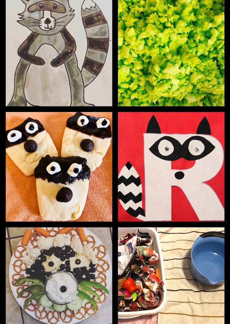 R is for Raccoon Activity Booklet - Etsy