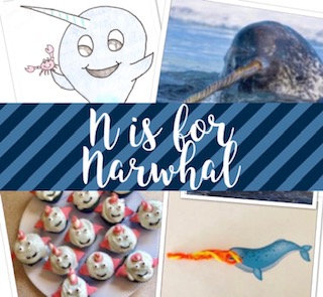 N is for Narwhal Activity Booklet - Etsy