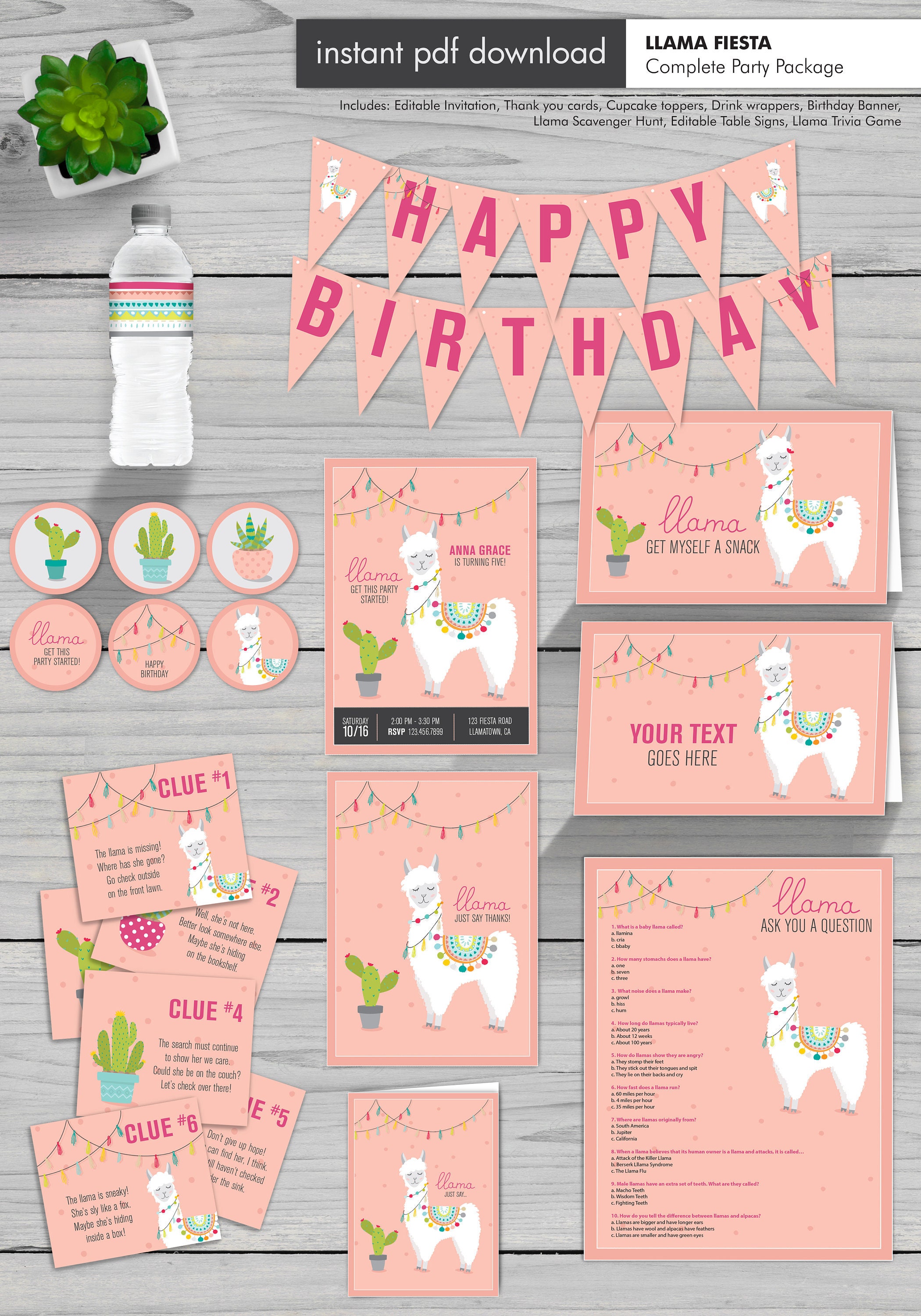 Llama Theme Party Invitations With Decorations - 10 Piece Printable ...