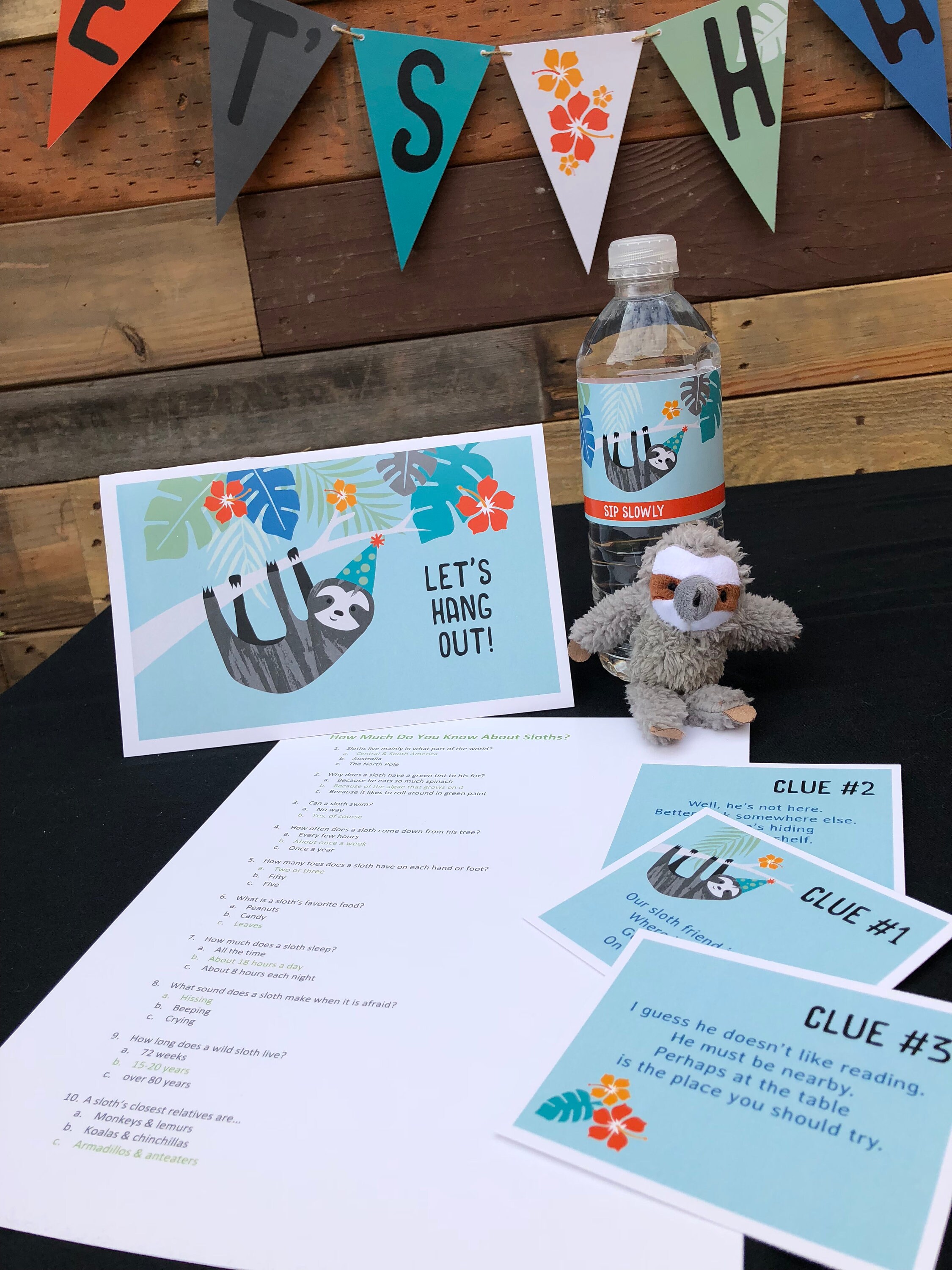 Sloth Party Supplies Sloth Birthday Invitations With - Etsy