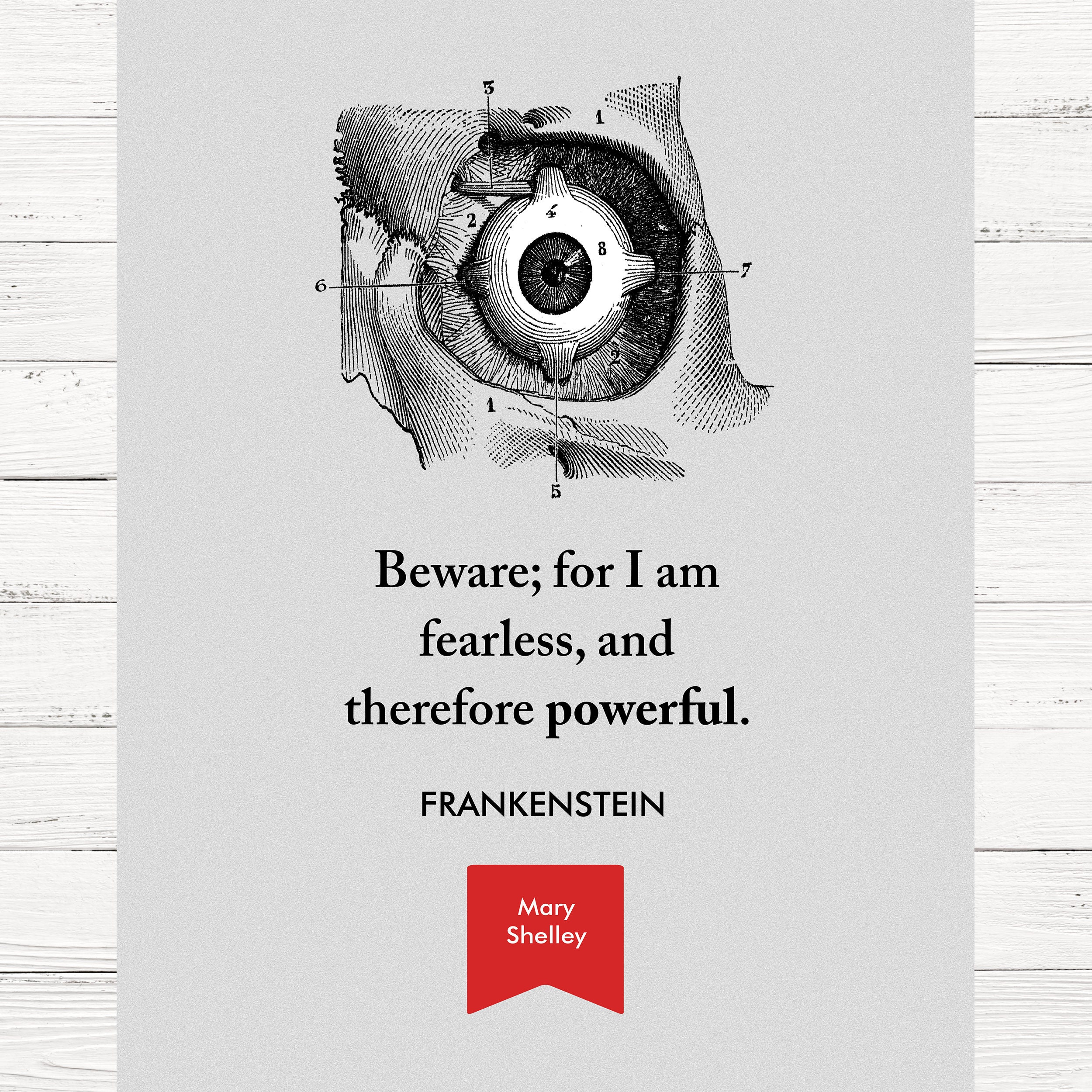 Mary Shelley Poster Frankenstein Quote Premium Matte Paper | Etsy