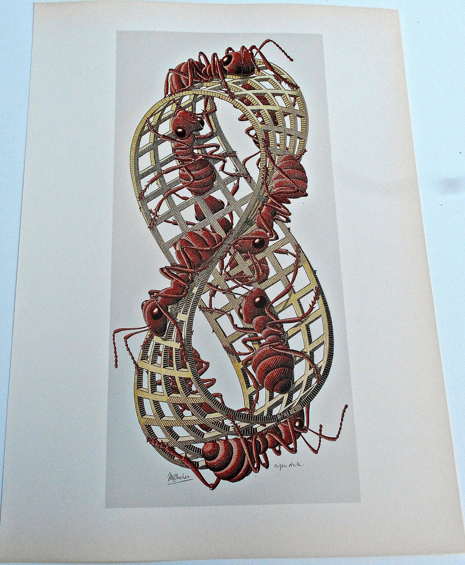 M C Escher Vintage Print of Mobius Strip II or Red Ants 16x11 | Etsy