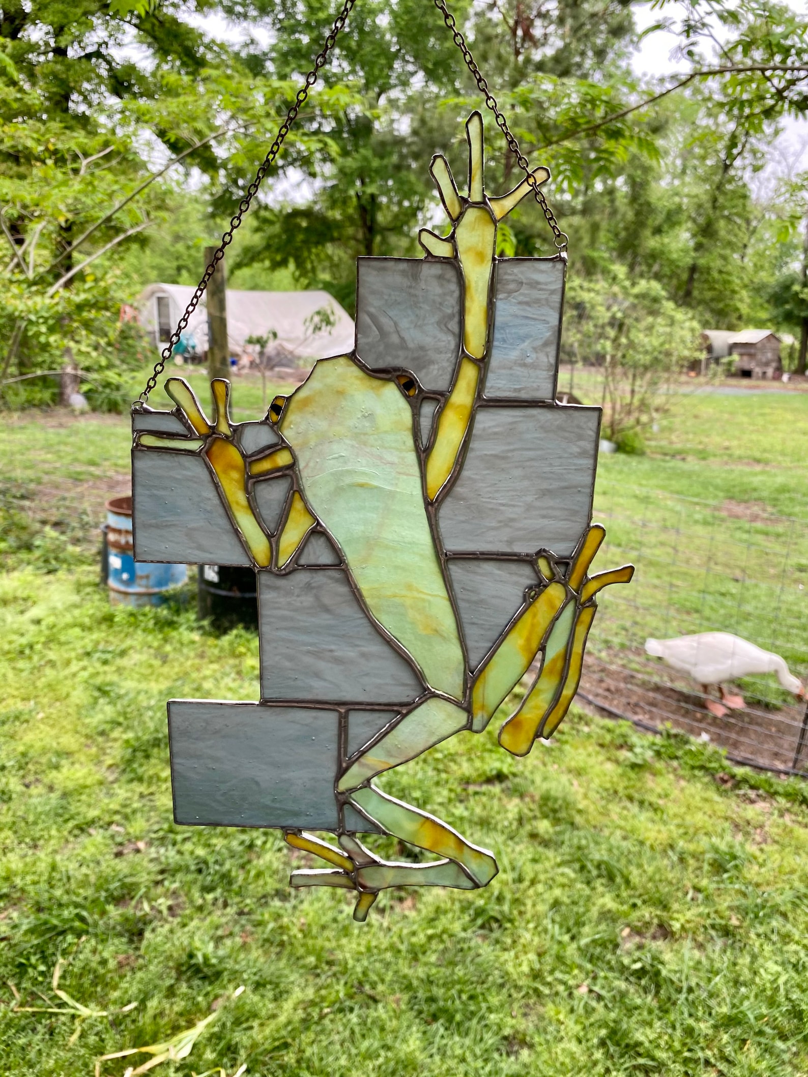 Stained Glass Splat Tree Frog - Etsy