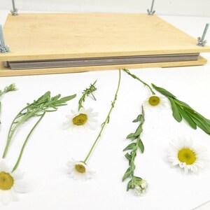 Hardwood Flower Press | DIY Pressed Flowers for Floral Art and Crafts ...