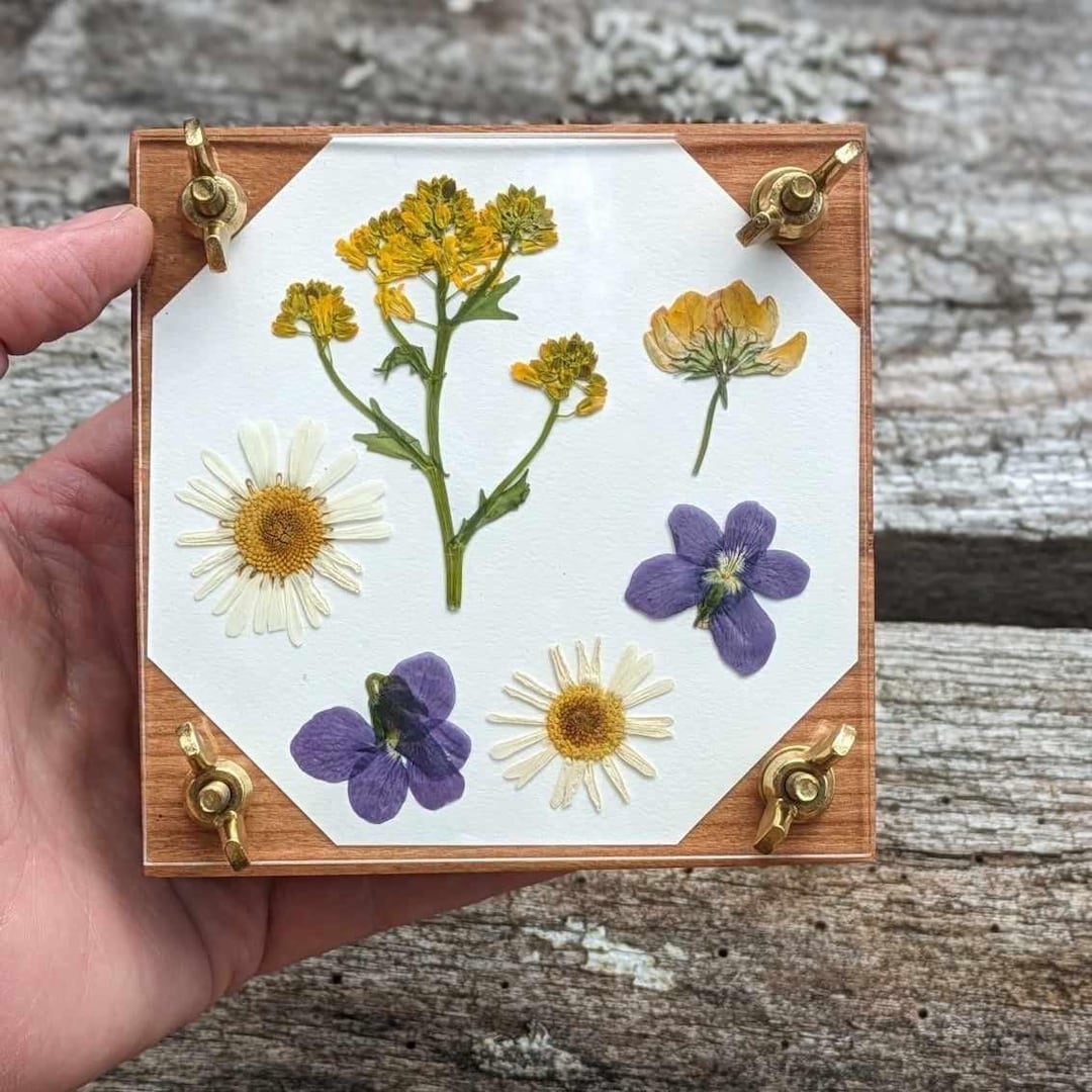 Mini Flower Press With Acrylic Display | Small Portable Press | Gift ...