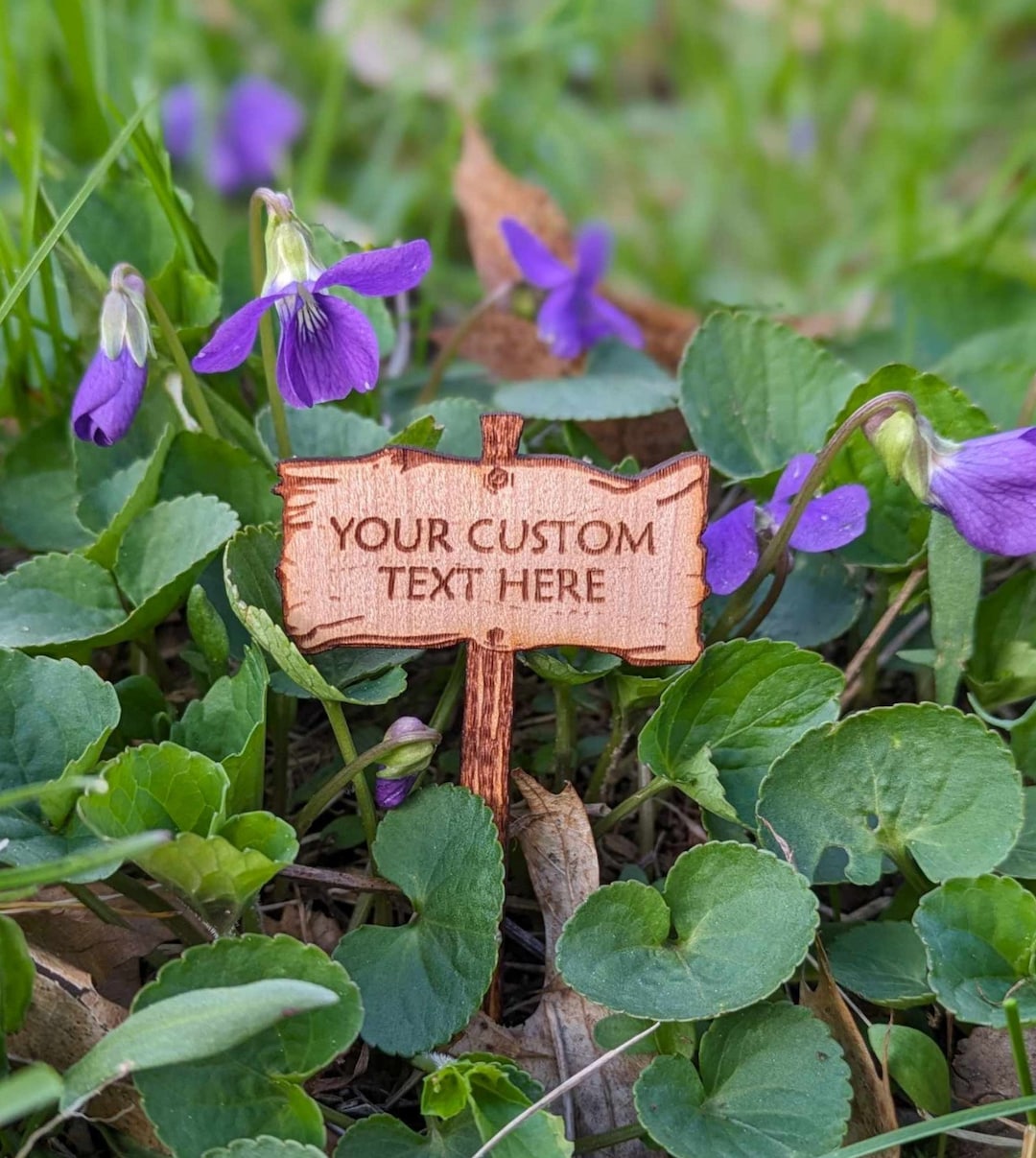 Gift for Plant Lover | Custom Sign for House Plant | Small Garden Signs ...