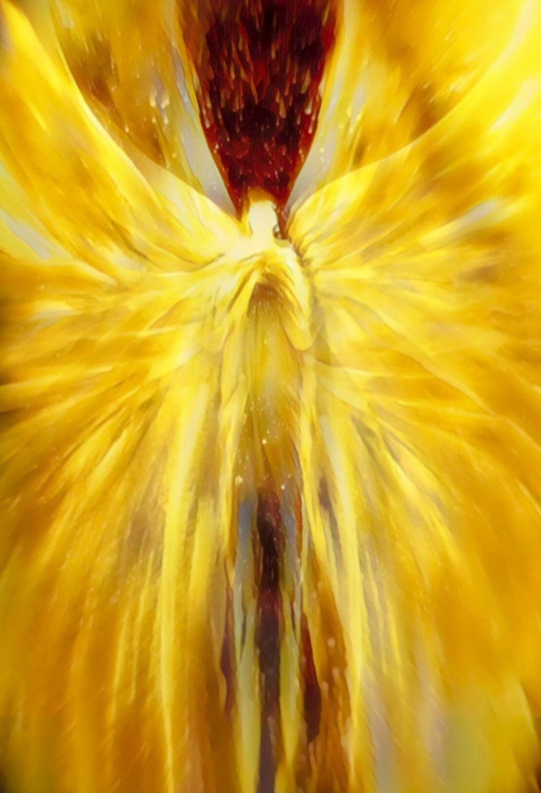 Archangel Seraphiel - Print - the Golden Light of God - Includes A ...