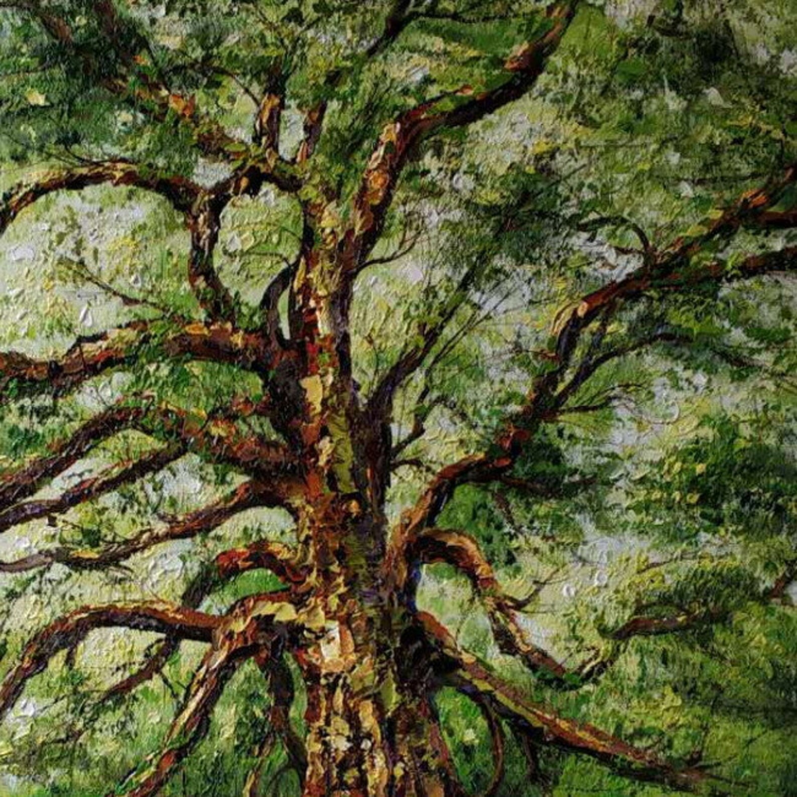 Angele Oak Trees Charleston Sc-koking Fort-d18001-home Decor - Etsy
