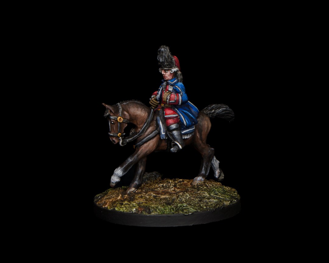 Painted 28mm French Mounted Grenadier Officer (metal) - Etsy