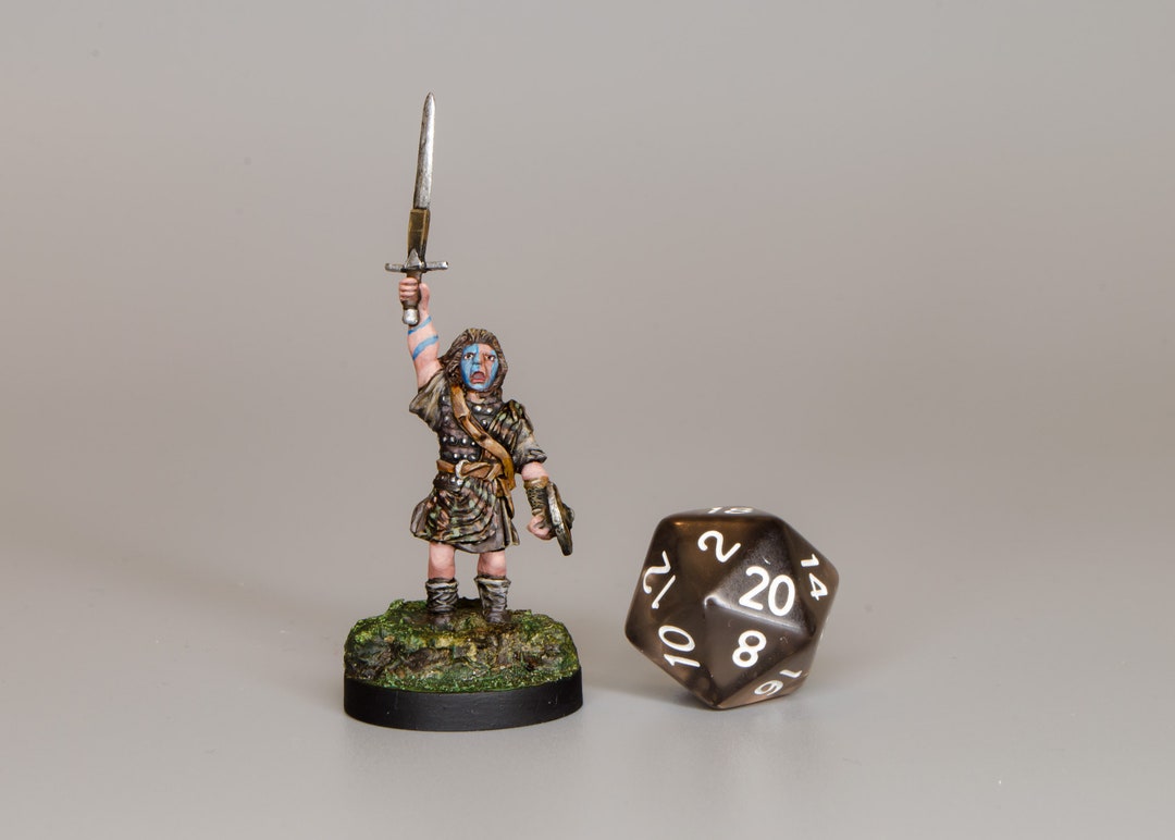 Painted 28mm Braveheart Miniature metal D&D, Dungeons and Dragons ...