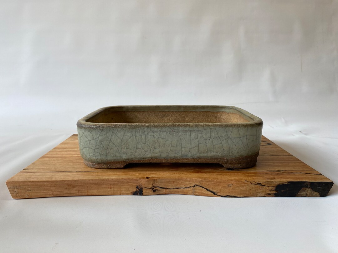Bonsai Slab Spalted 2 Maple 9" X 14.5" - Etsy