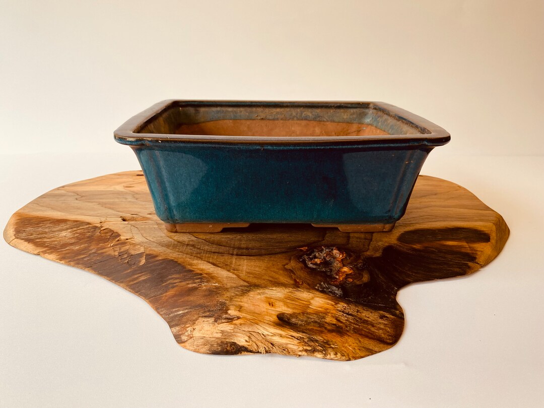 Bonsai Slab Pine 16" X 23" - Etsy