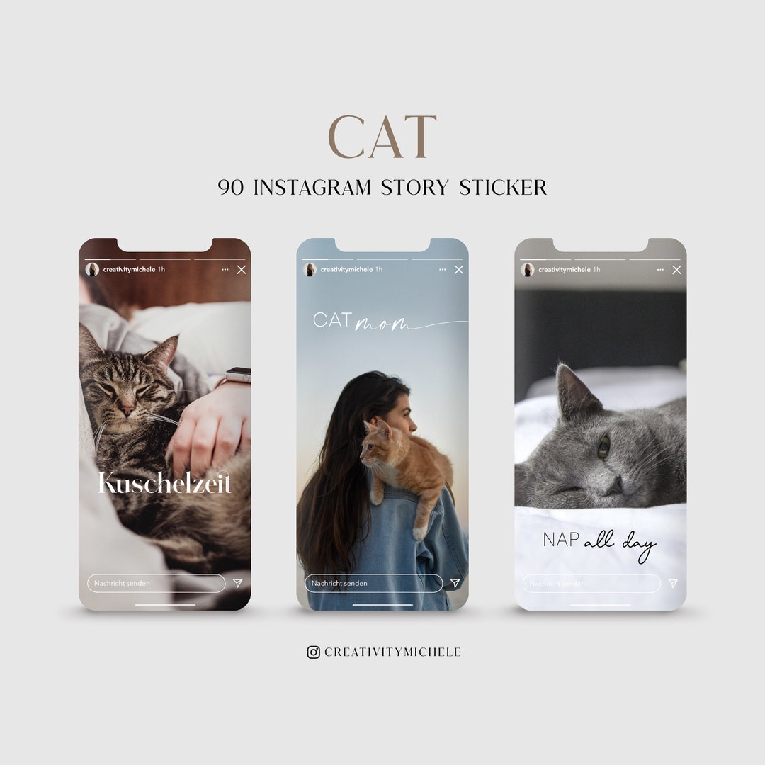 90 Instagram Story Sticker Cat Cat PNG Digital Procreate - Etsy