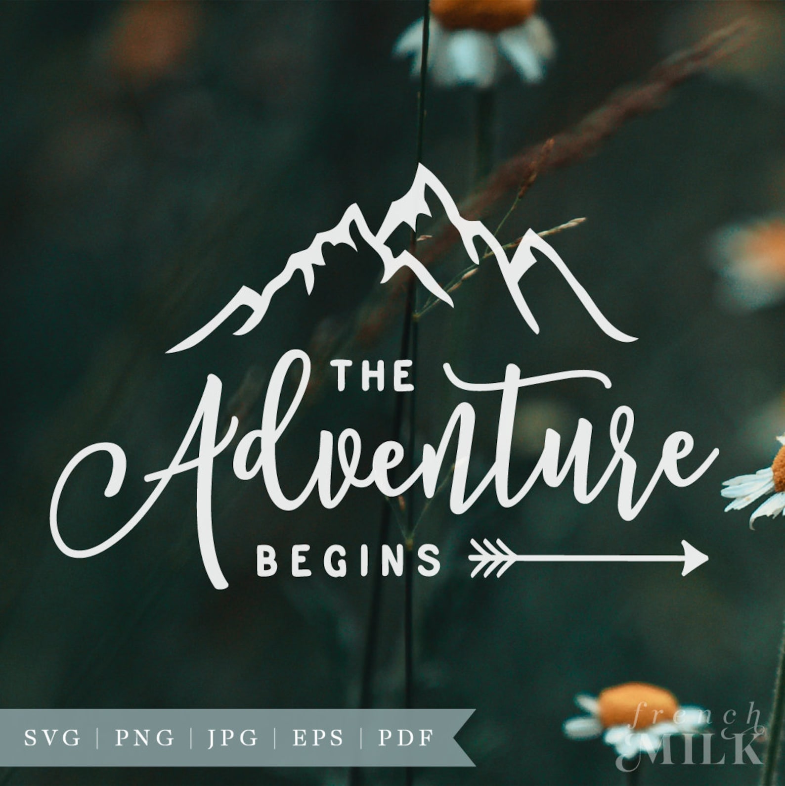 The Adventure Begins SVG PNG EPS Wedding Signs Baby Shower | Etsy