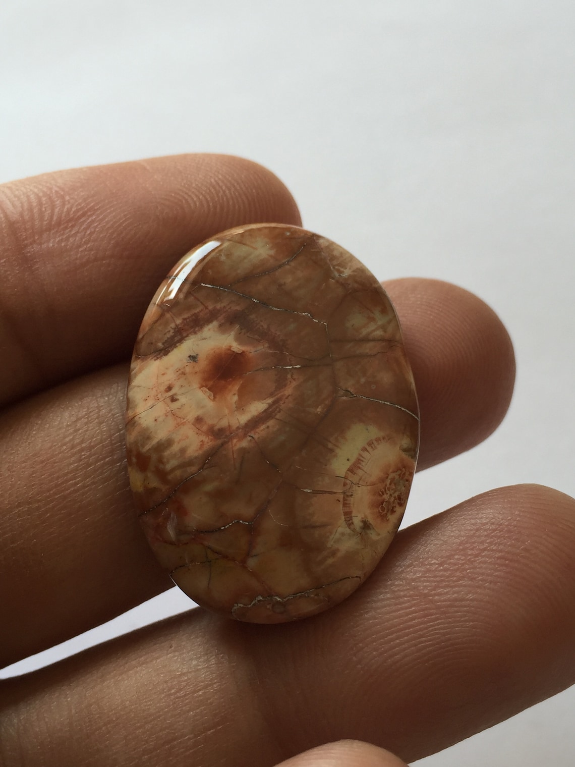 23x32 Mm Natural Birds Eye Jasper Cabochon , Birds Eye Rhyolite ...
