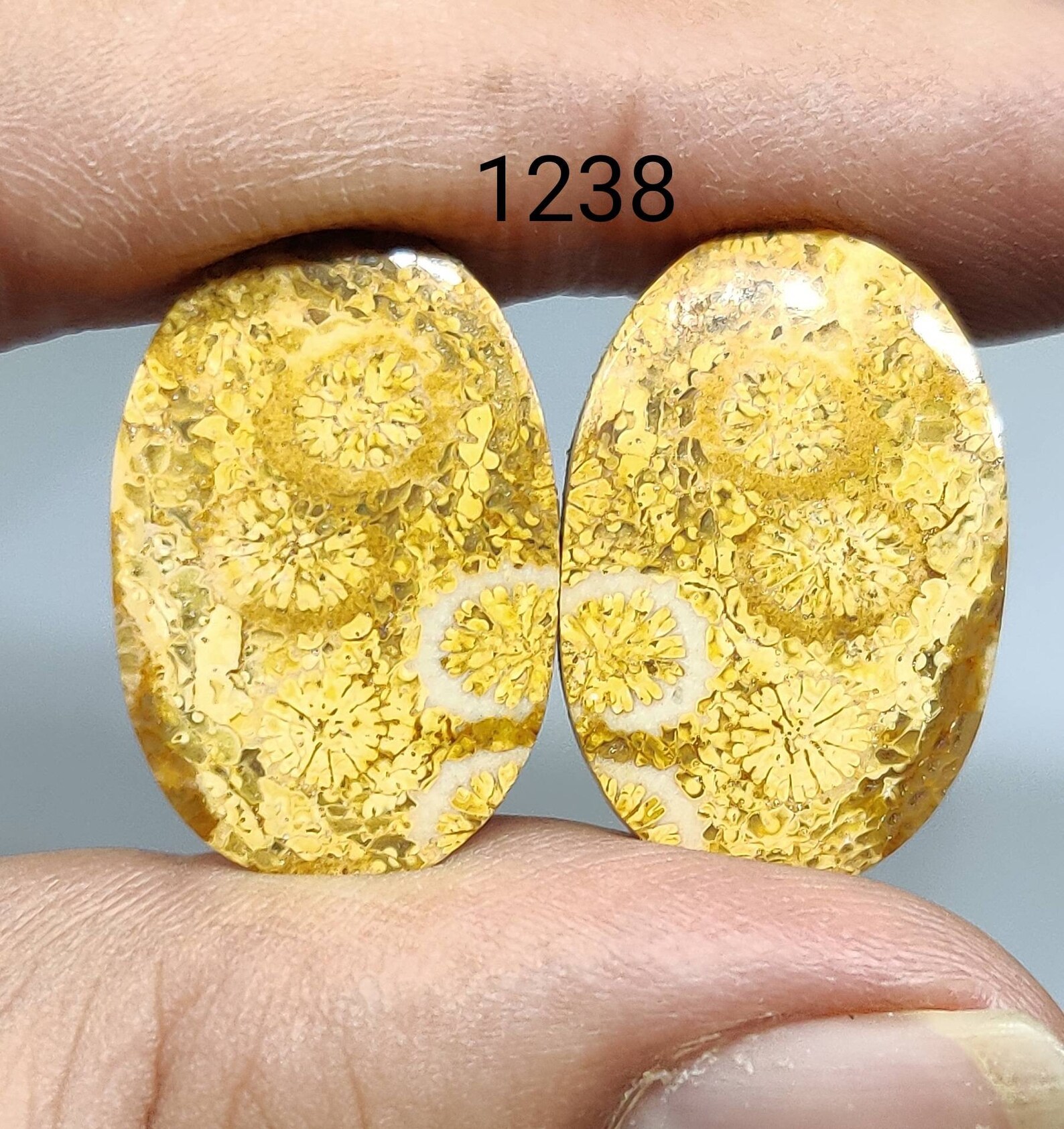 Natural Fossil Coral Matching paire de pierre Corail agatisé - Etsy France