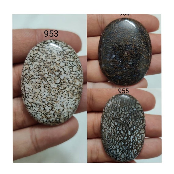 Extra Large Dinosaur Bone Cabochon/dinosaur Bone Fossil - Etsy