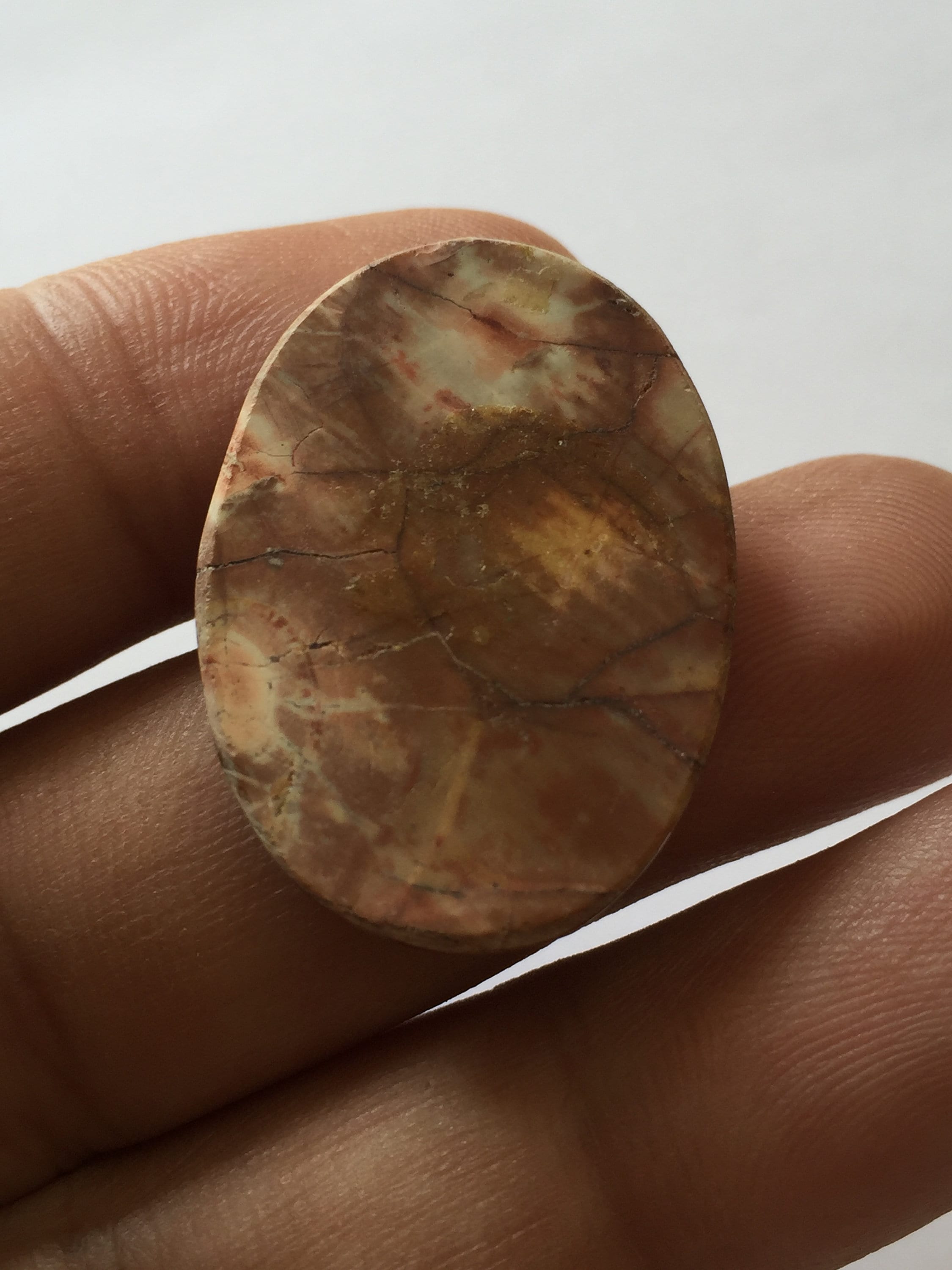 23x32 Mm Natural Birds Eye Jasper Cabochon , Birds Eye Rhyolite ...