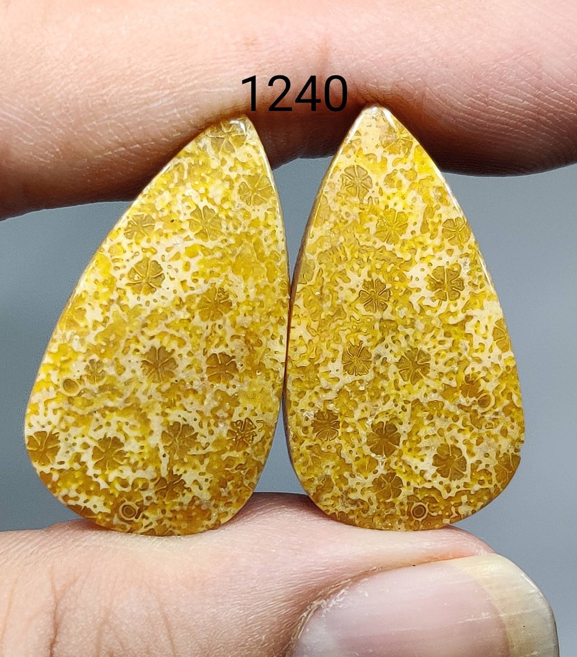 Natural Fossil Coral Matching paire de pierre Corail agatisé - Etsy France